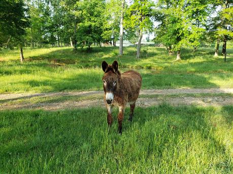 Southern Pride Distillery | Tennessee Moonshine Distilling