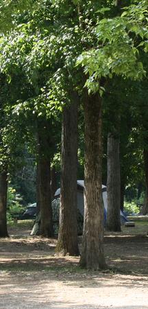 Home [www.springriveroaks.us]