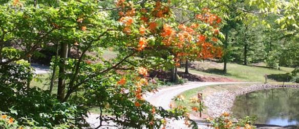 Long Ridge Campground, Hiawassee, GA