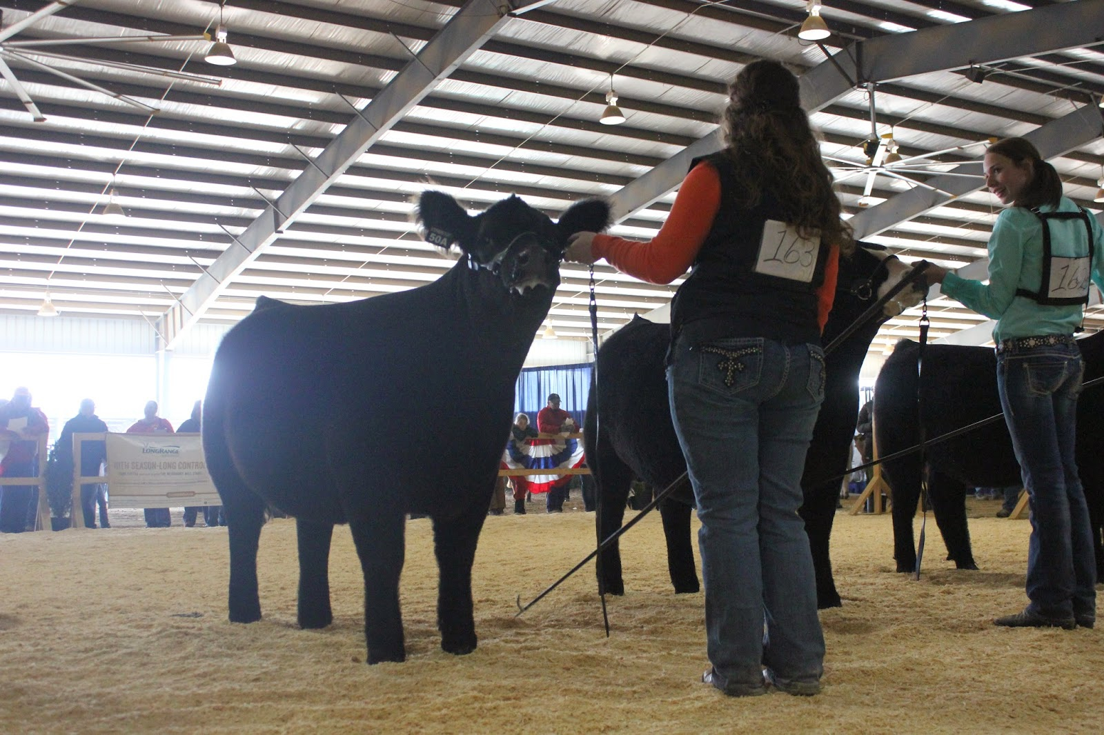 Home [www.tnbeefagribition.com]