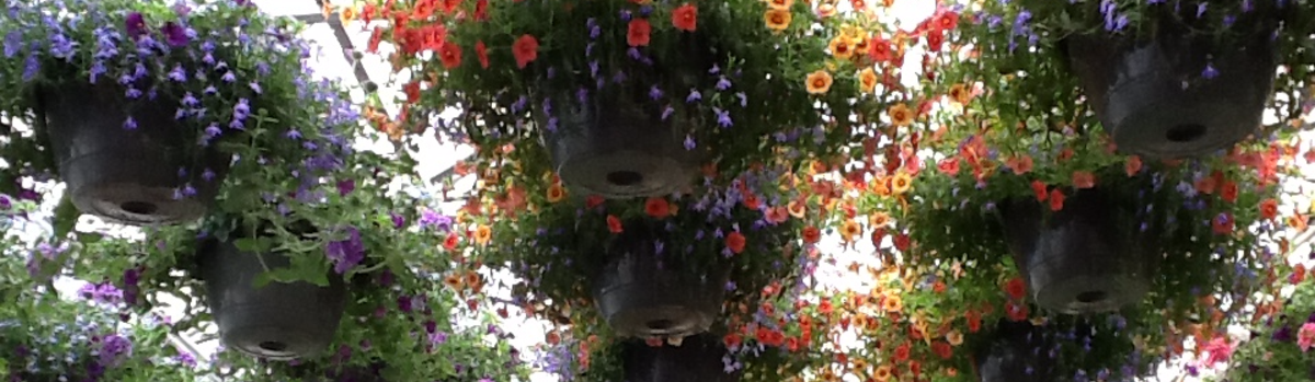 Welcome to WaterField Farms