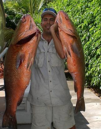 Tecnica para pescar Cubera Snapper