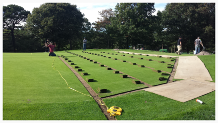 Xtremegolfmanagement.com - Golf Course Drainage Systems