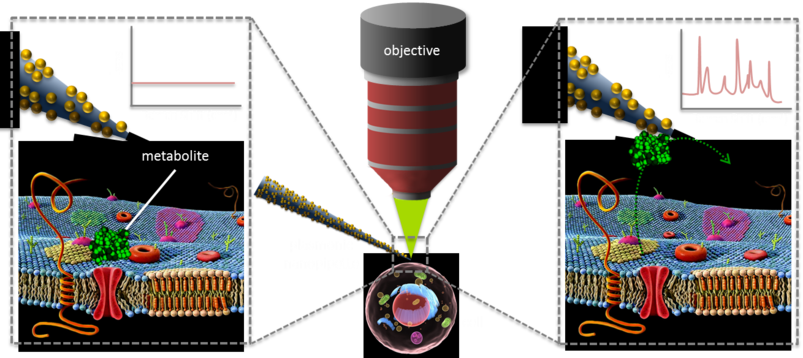 Biomedical Sensing