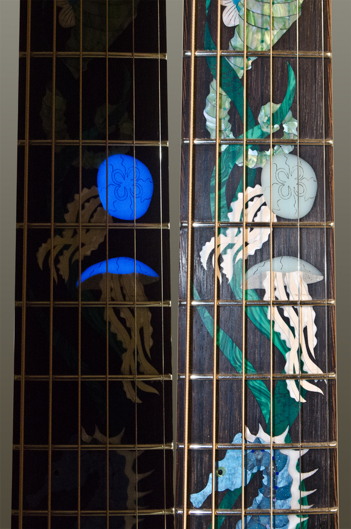 Harvey Leach inlays - Custom Inlays, Musical Instrument