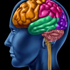 Neurocognitive Testing