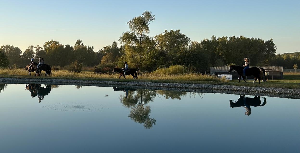 Home [www.imageofhoperanch.com]