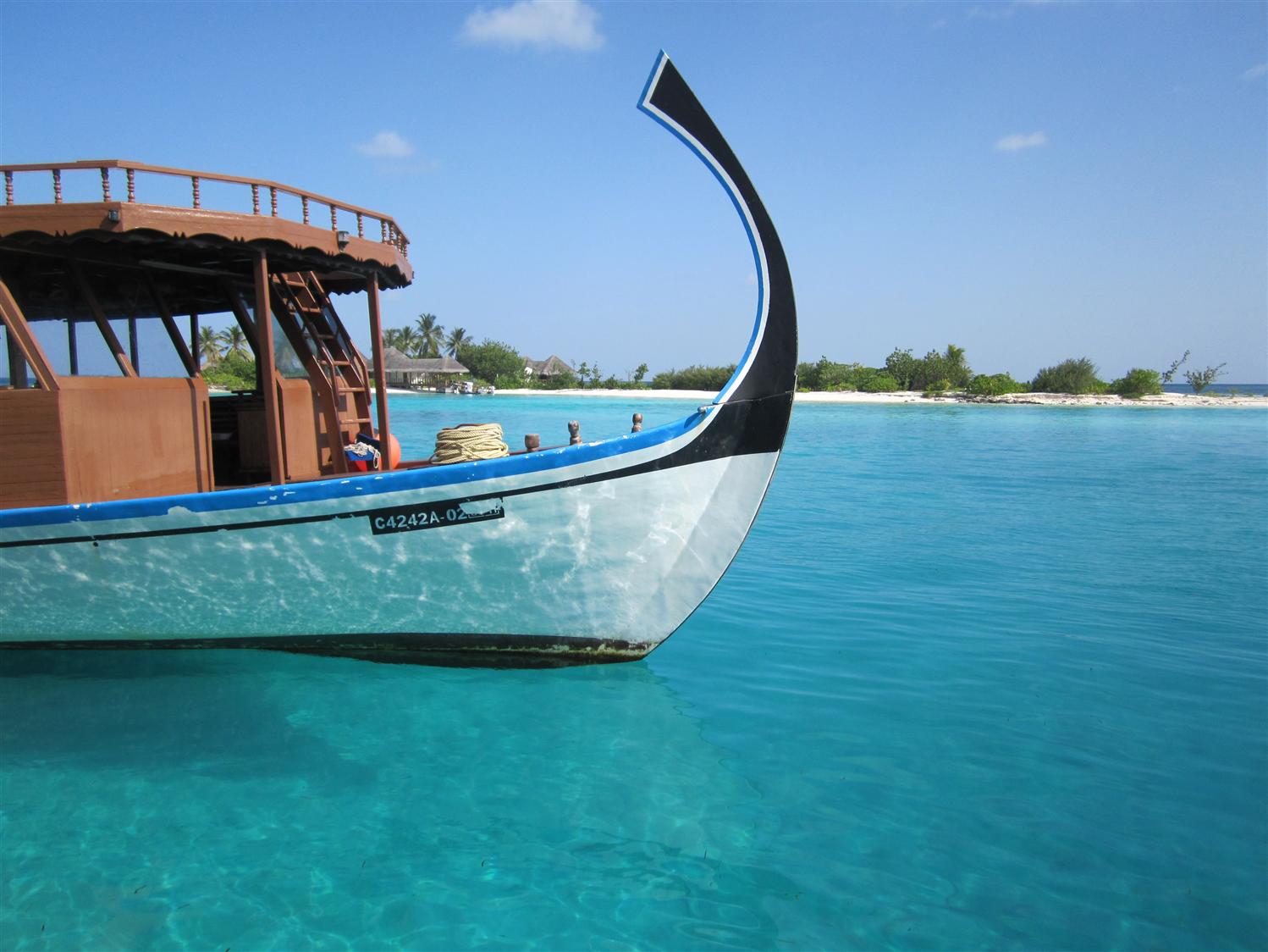 Thomas J. Walker, M.D.