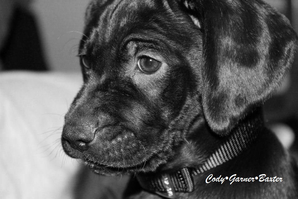 Cody•Gee•Photography