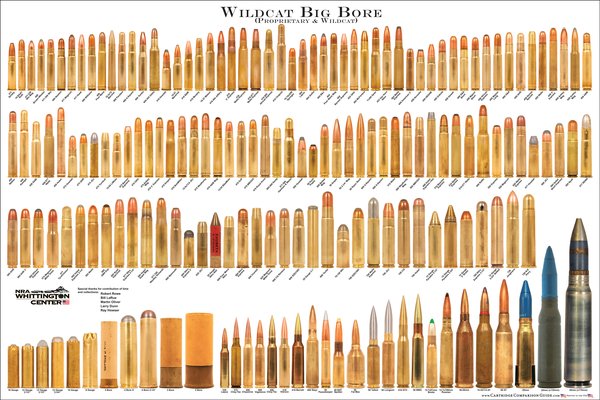 Wildcat Big Bore (Proprietary & Wildcat) - Cartridge Poster | Firing ...