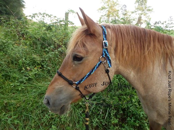 Hybrid Braided Rope Halter | Knot Just Rope