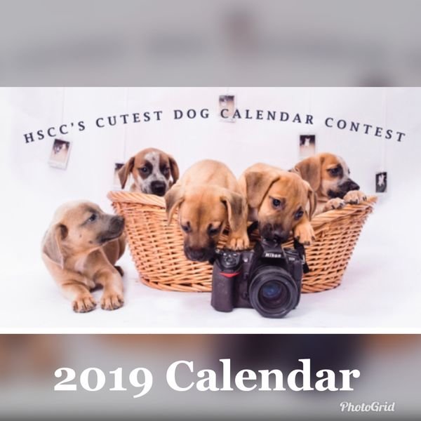 Humane Society of Calvert County