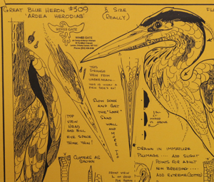 Great Blue Heron - Standing Pattern | MDI Woodcarvers Supply