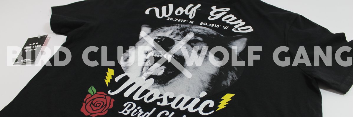 Sneaker Tees | Sneaker matching Clothing | Bird Club